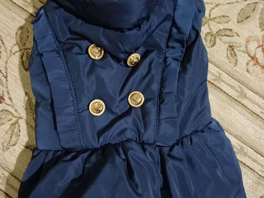 Одежда и обувь для маленьких собак