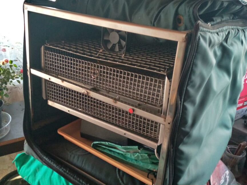 Инкубатор для яиц бу