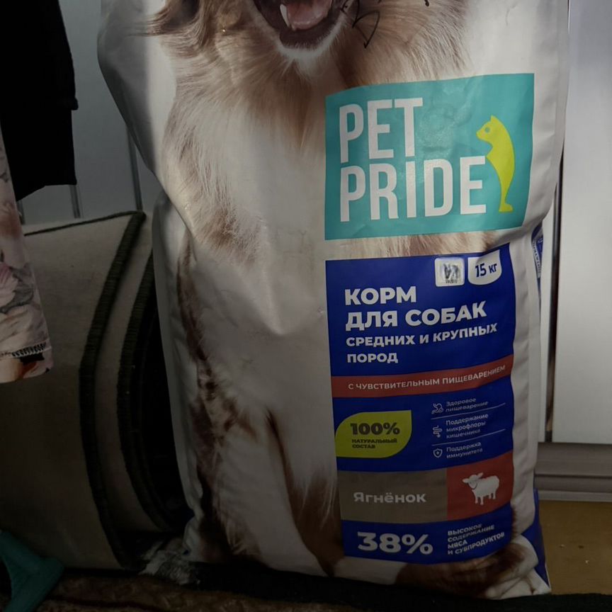 Корм для собак