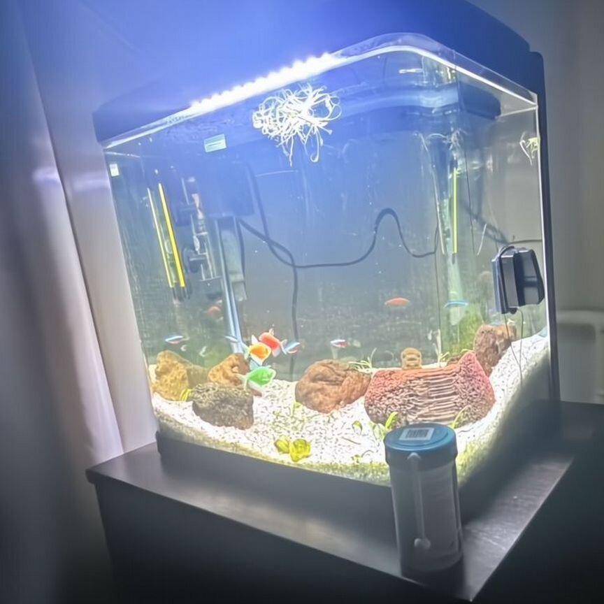 Аквариум с оборудованием и рыбками