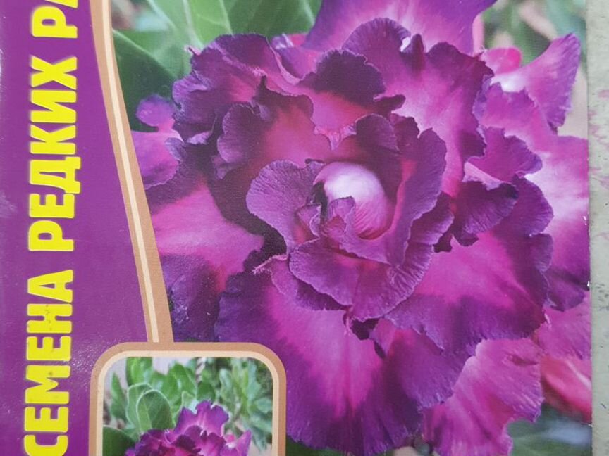 Семена редких растений