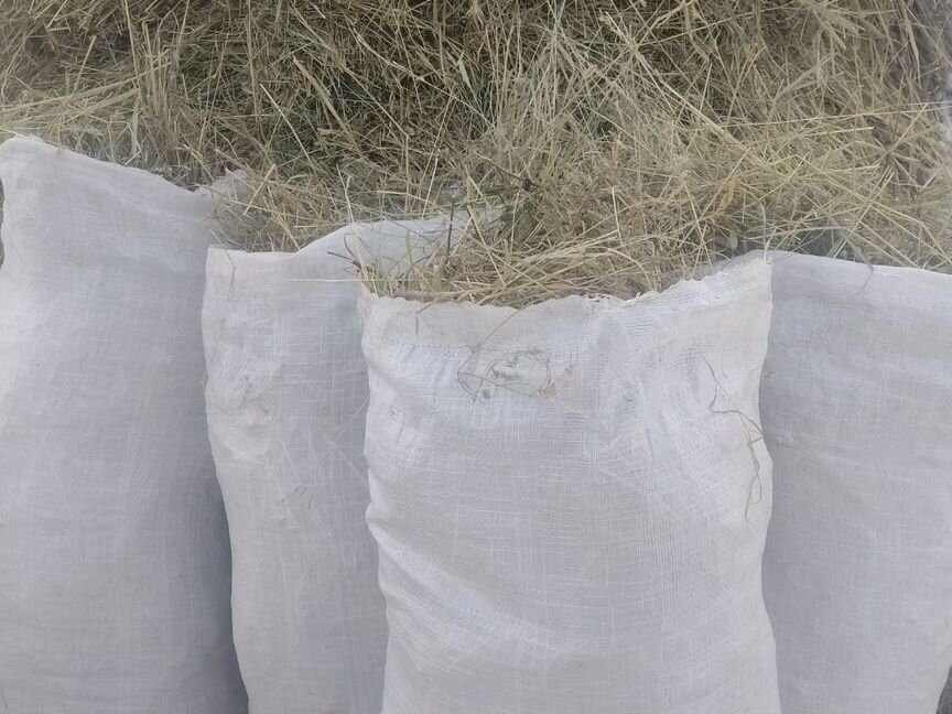 Стружка,сено