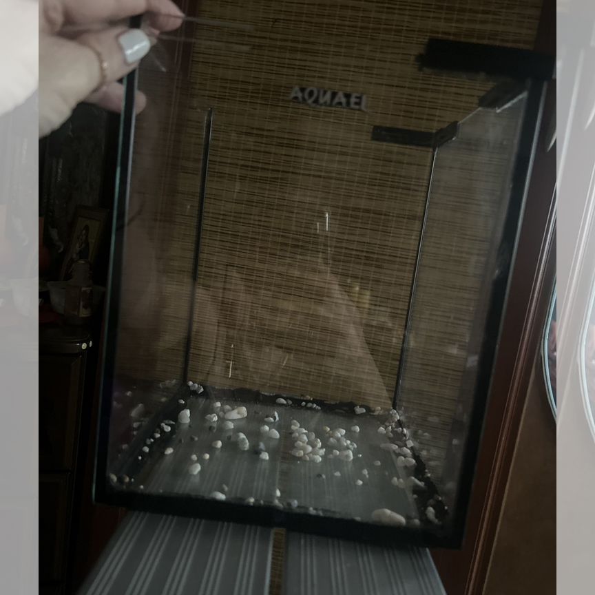 Аквариумные рыбки