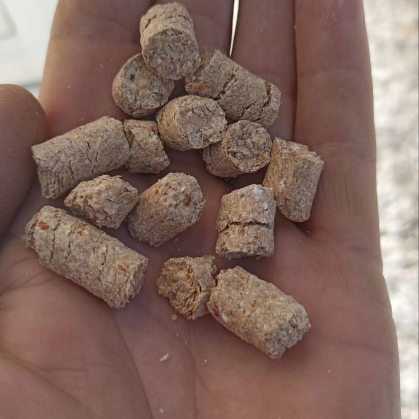 Зерно (гранулы)