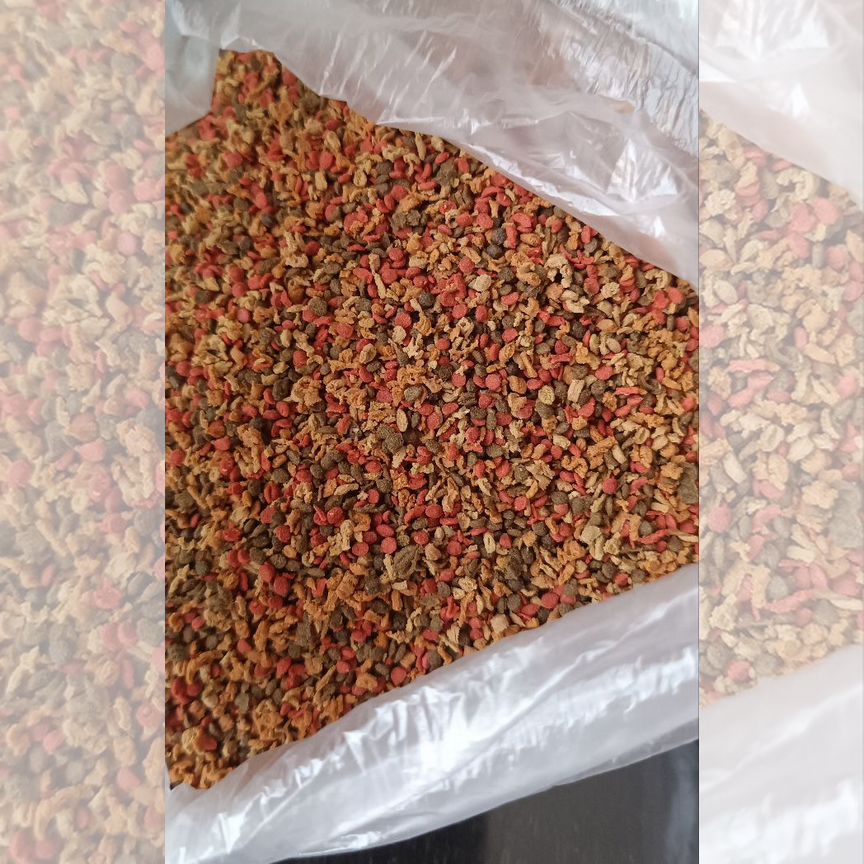 Корм для рыб