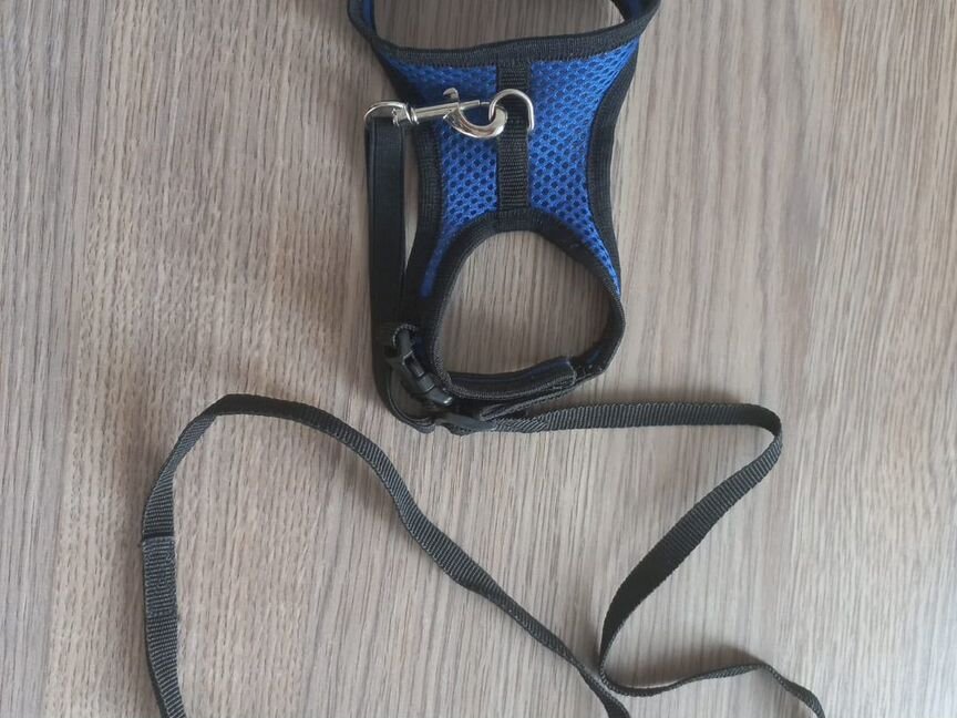 Шлейка для маленькой собаки