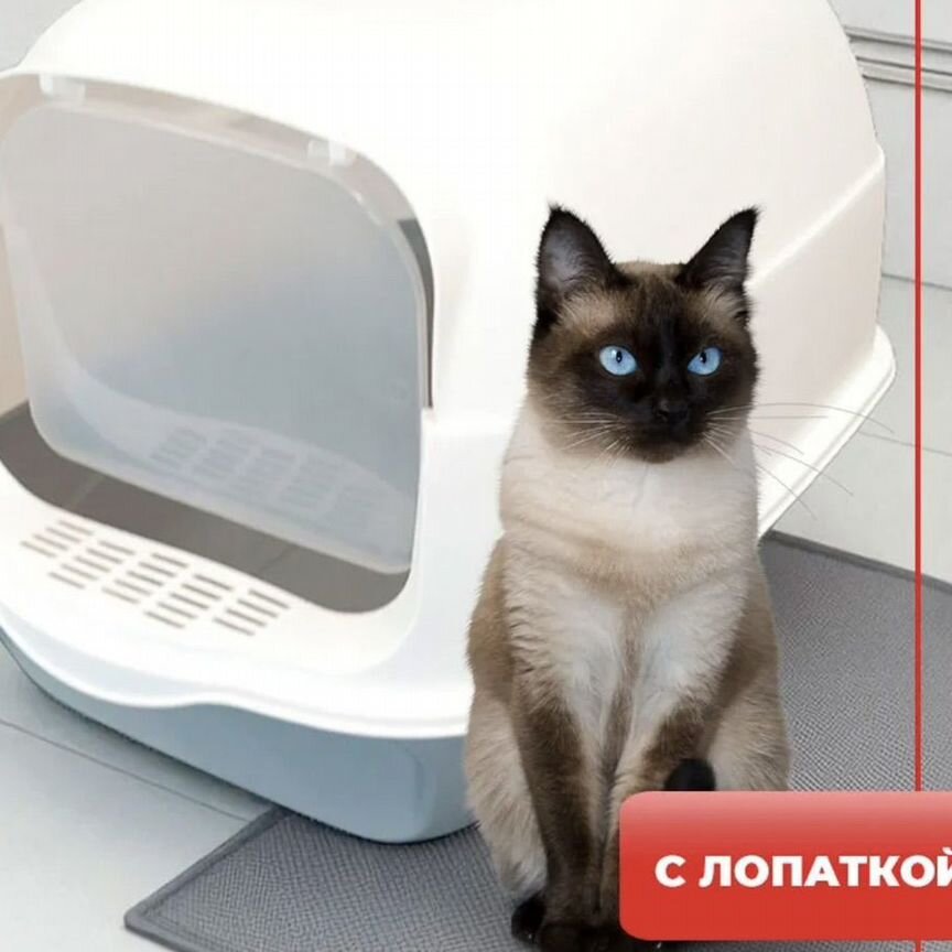 Лоток для кошек