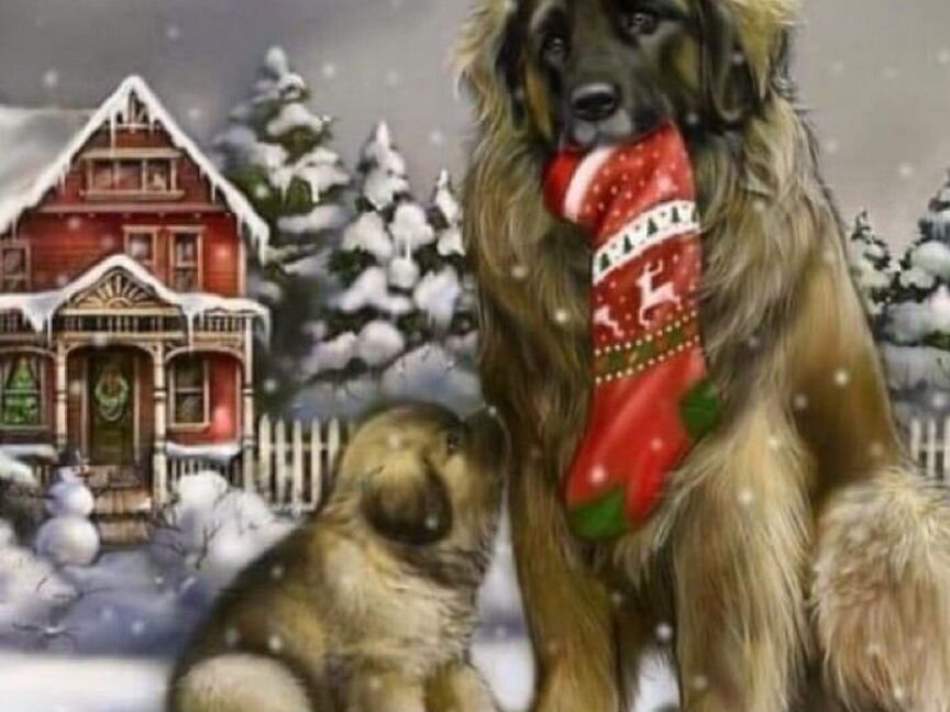 Леонбергер