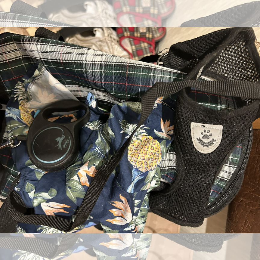 Аксесуары для маленькой собачки или кошки