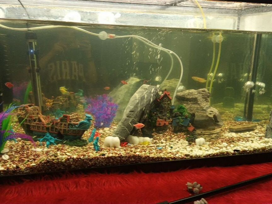 Аквариум 220литров