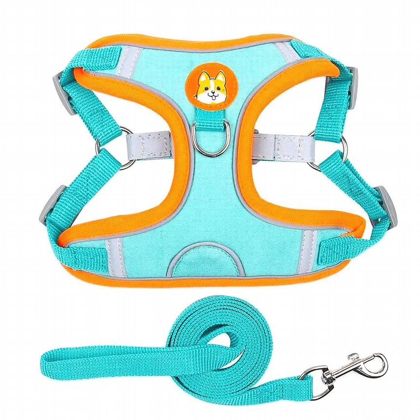 Шлейка с поводком для собак (размер М)