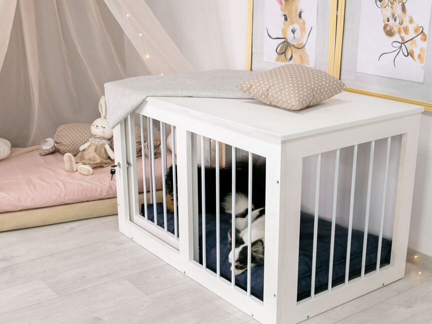 Домашние дизайнерские вольеры