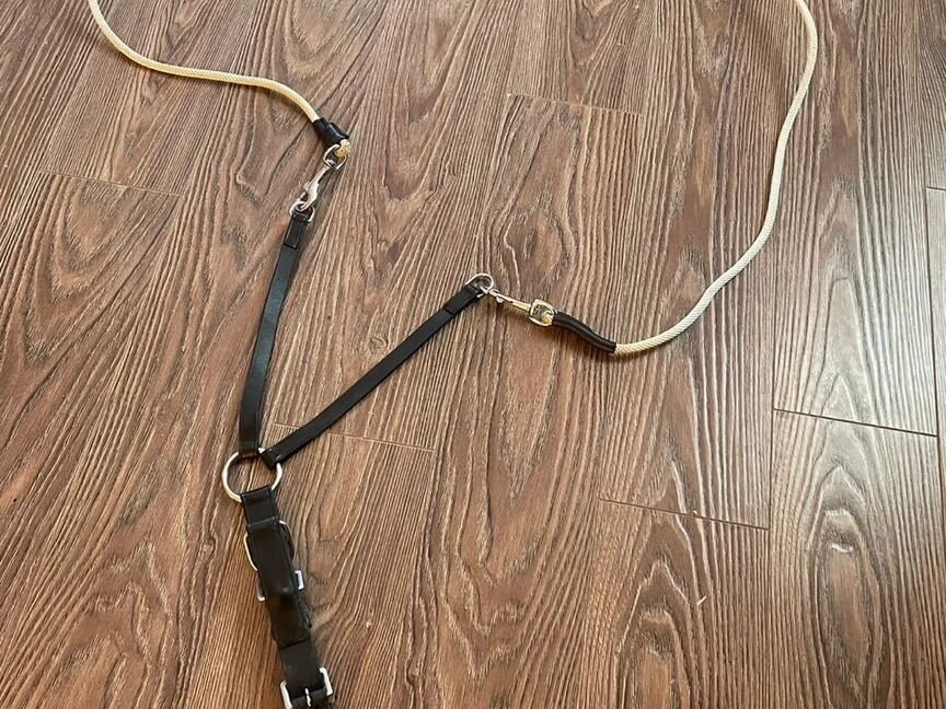 Шамбон для лошади