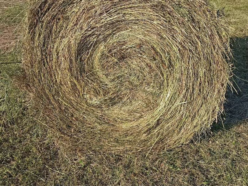 Сено в рулонах 2023