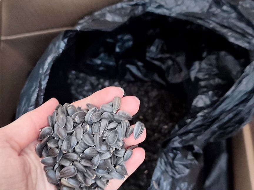 Семечки подсолнечника 4 кг для птиц