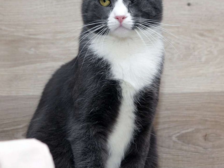 Пират 2 года