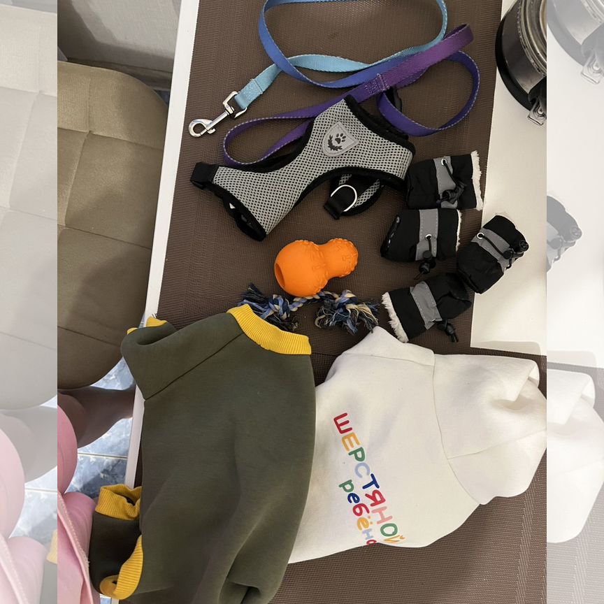 Вещи игрушки пакетом для собаки