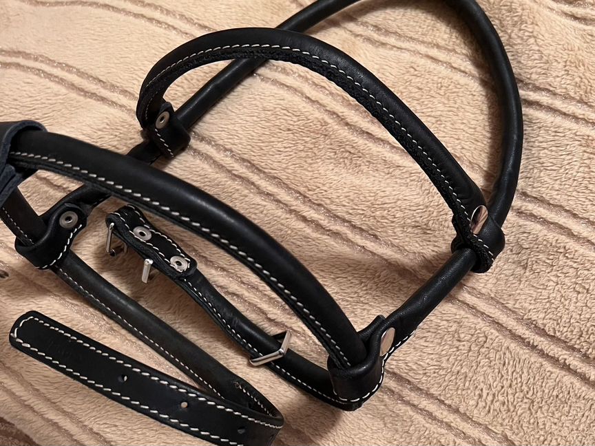 Шлейка для собаки