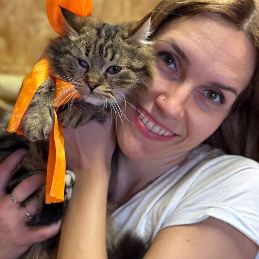 Взрослая, кошка в добрые руки