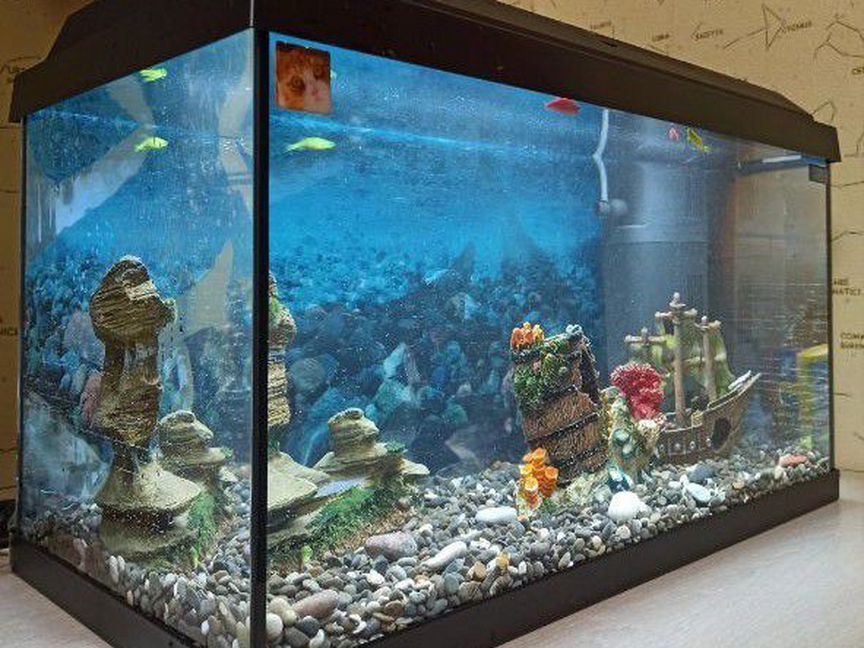 Аквариум с рыбками 57л