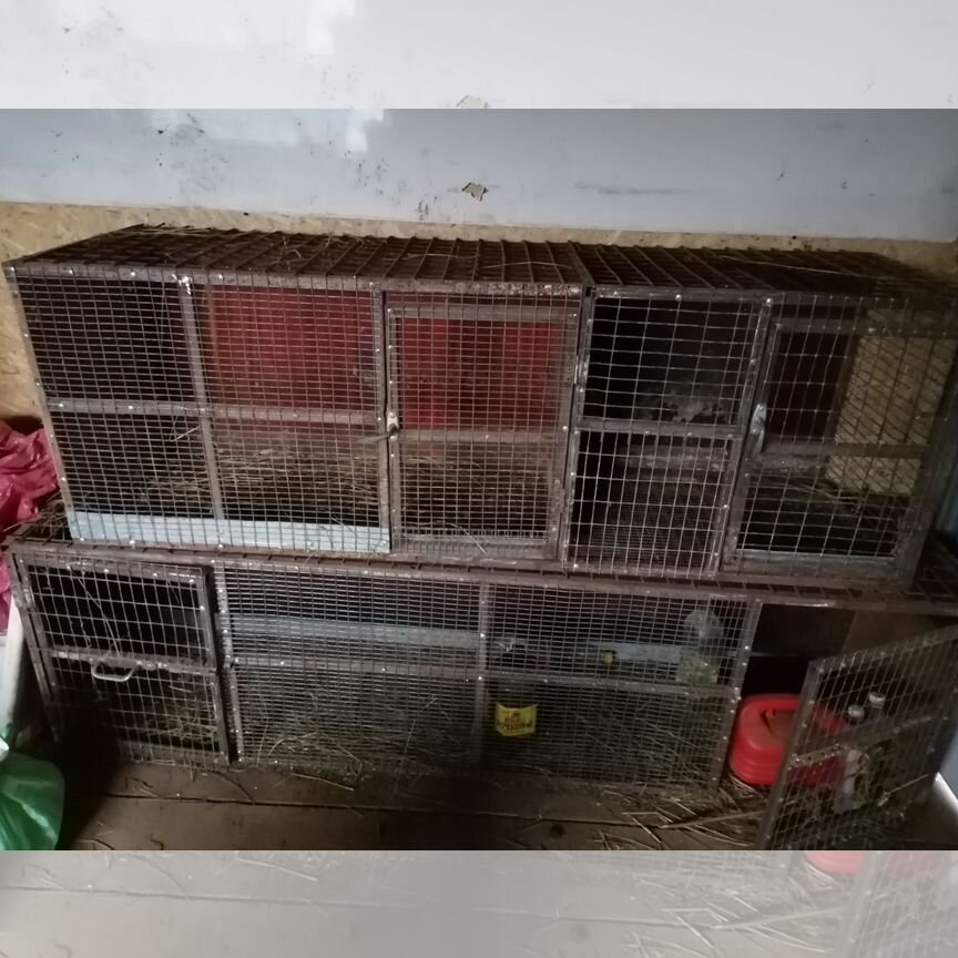Клетка для кролика