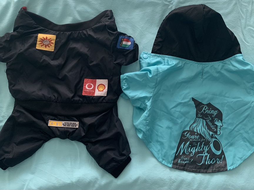 Одежда для собак