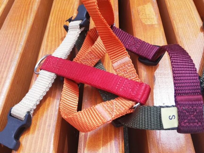 Шлейка для собаки sharik-dog