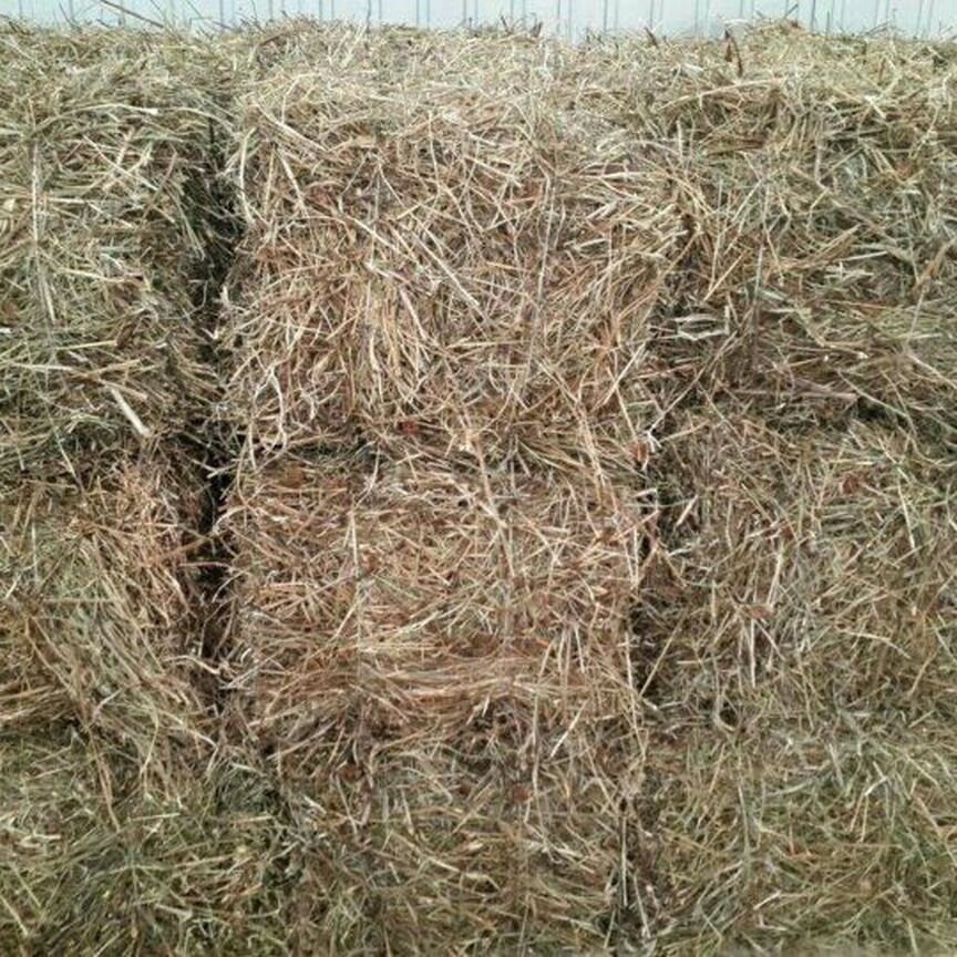 Сено в брикетах