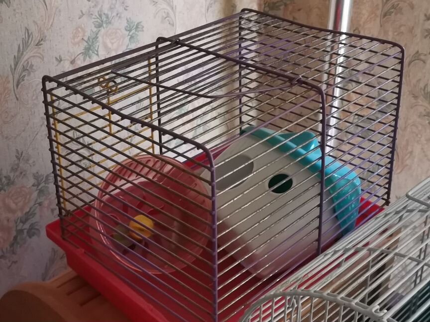 Клетки для грызунов