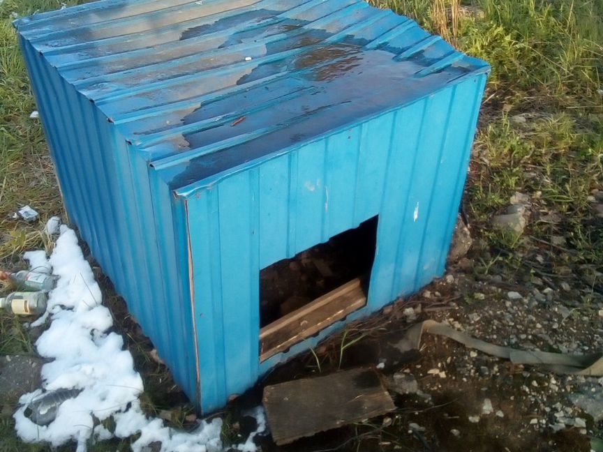 Конура будка для собаки