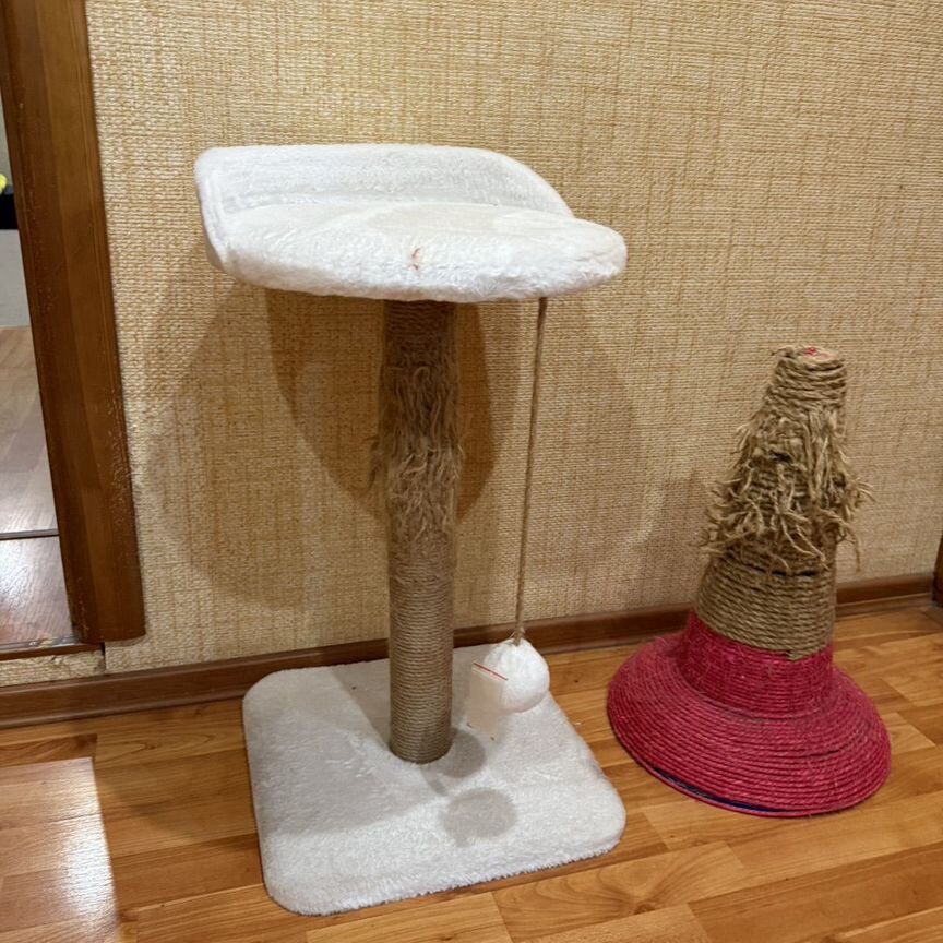 Когтеточка отдам