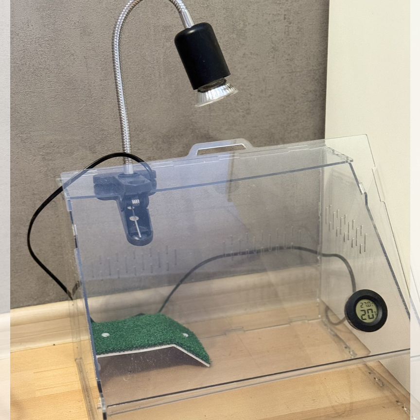 Террариум для рептилий