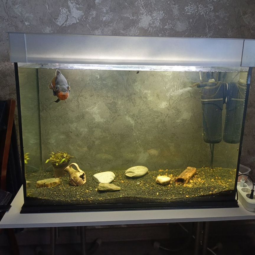 Аквариум 150 литров