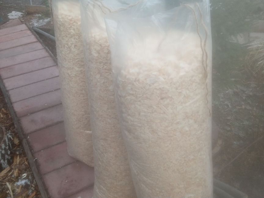 Сухая кедровая свежая стружка