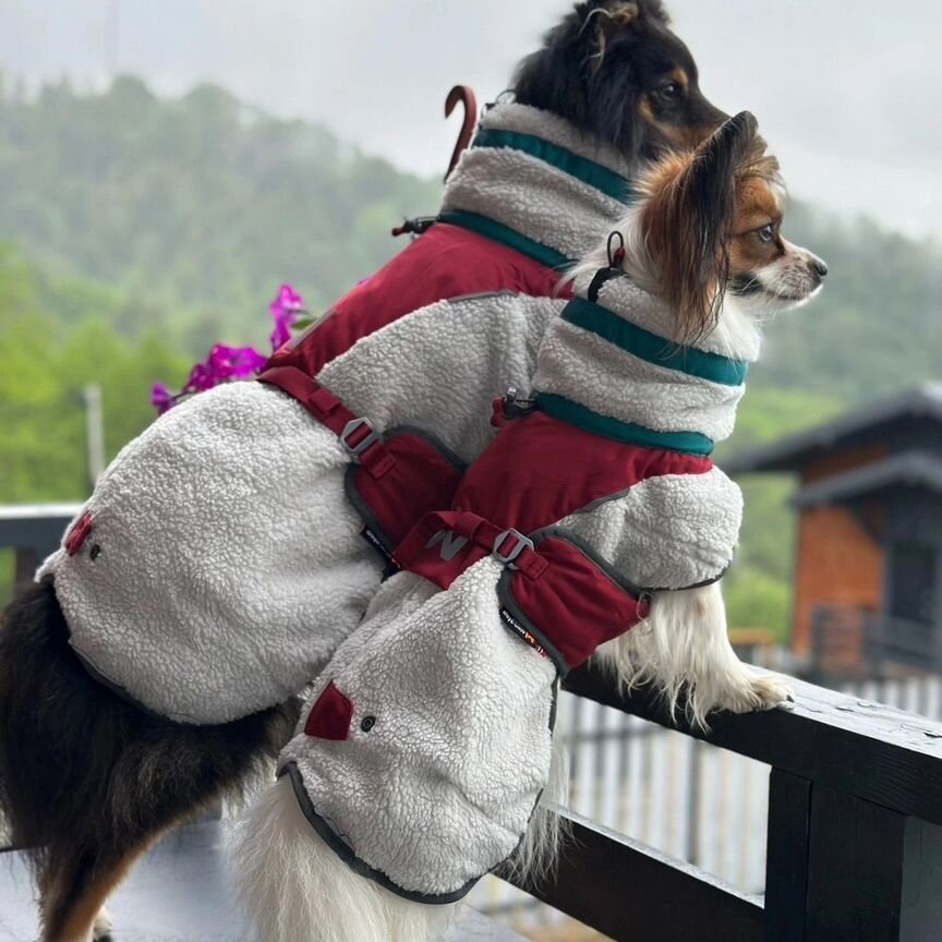 Non stop dogwear trekking fleece
