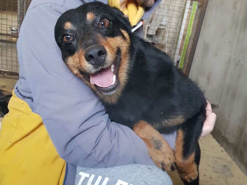 Ищет дом красавец мужчина