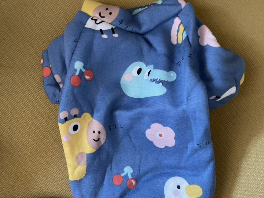 Одежда для собак мелких пород