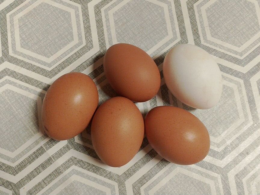 Яйца утиные и куриные