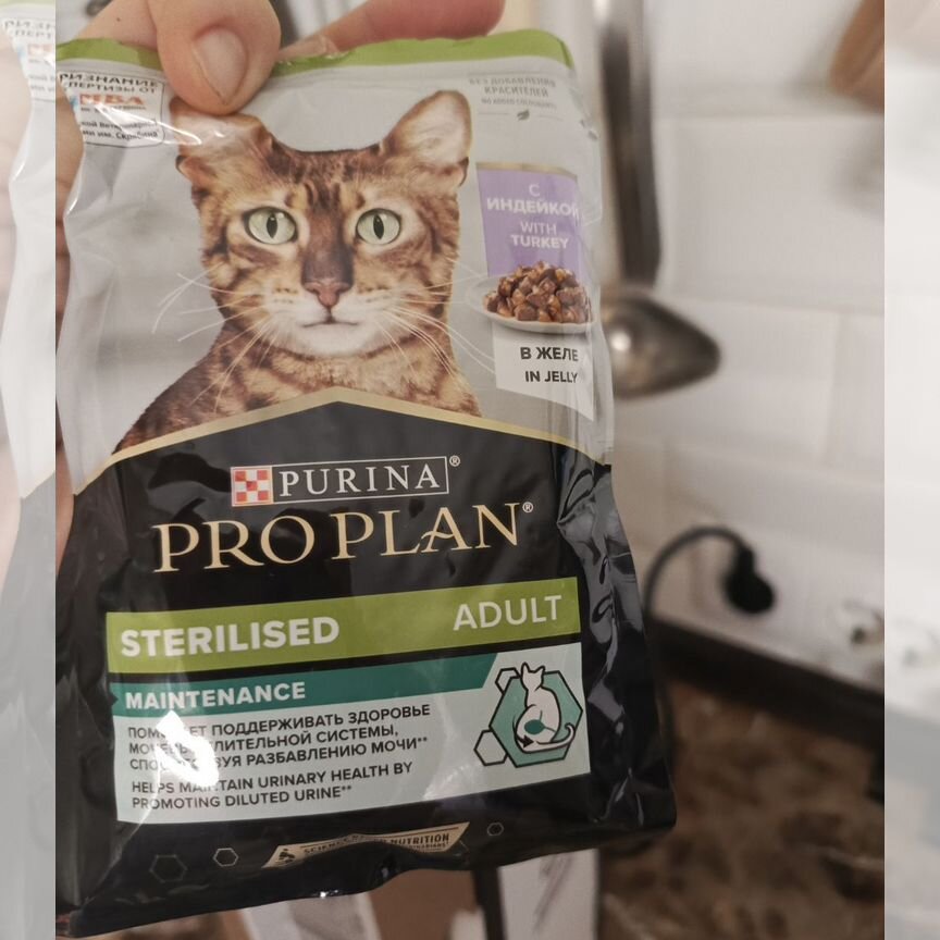 Влажный корм для кошек pro plan