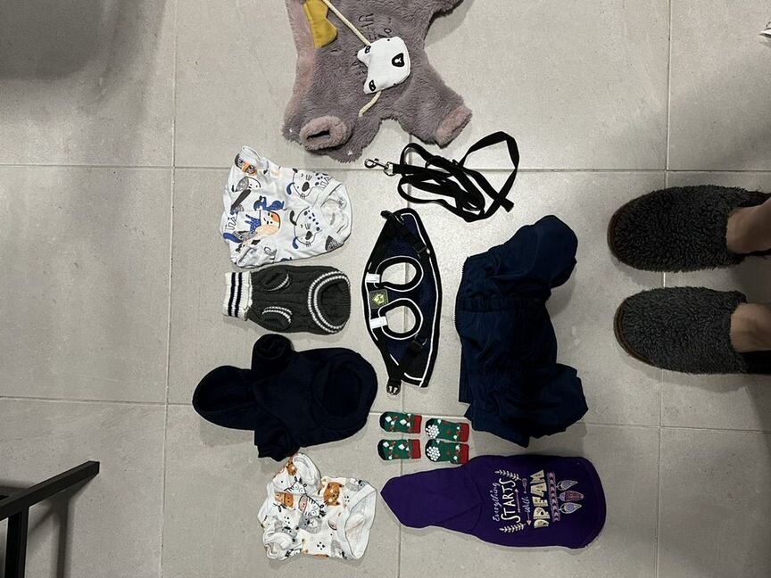 Одежда для кошек и собак бу