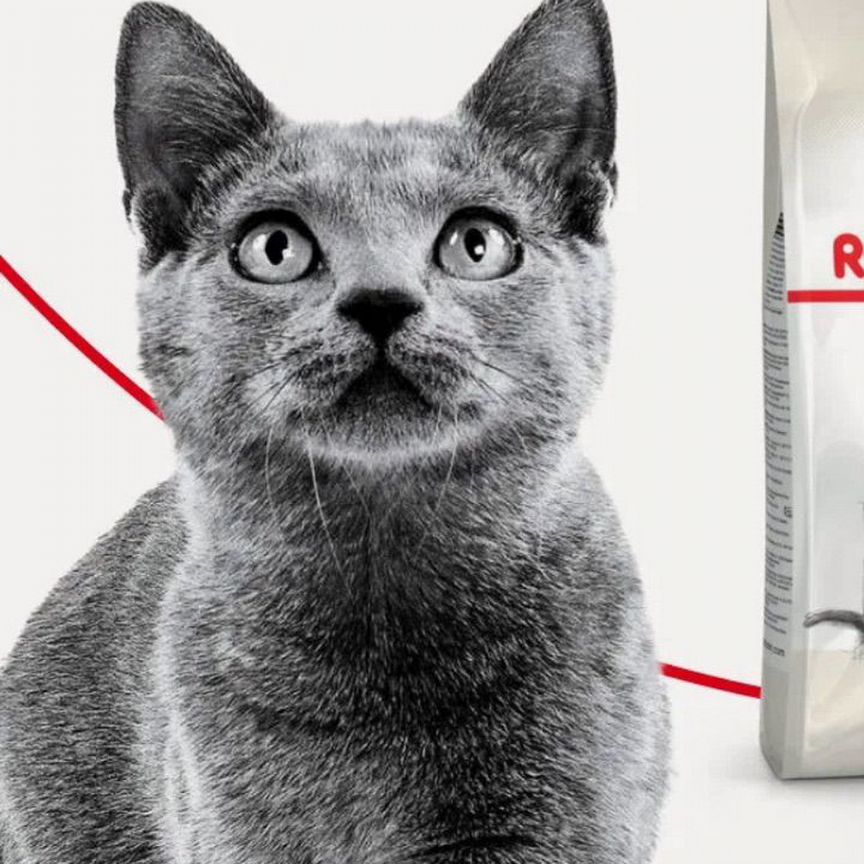 Корм для кошек royal canin sterilised
