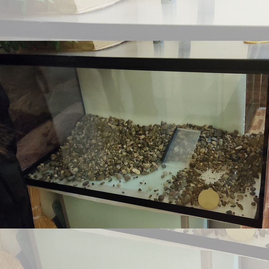 Аквариум террариум 78х40х40