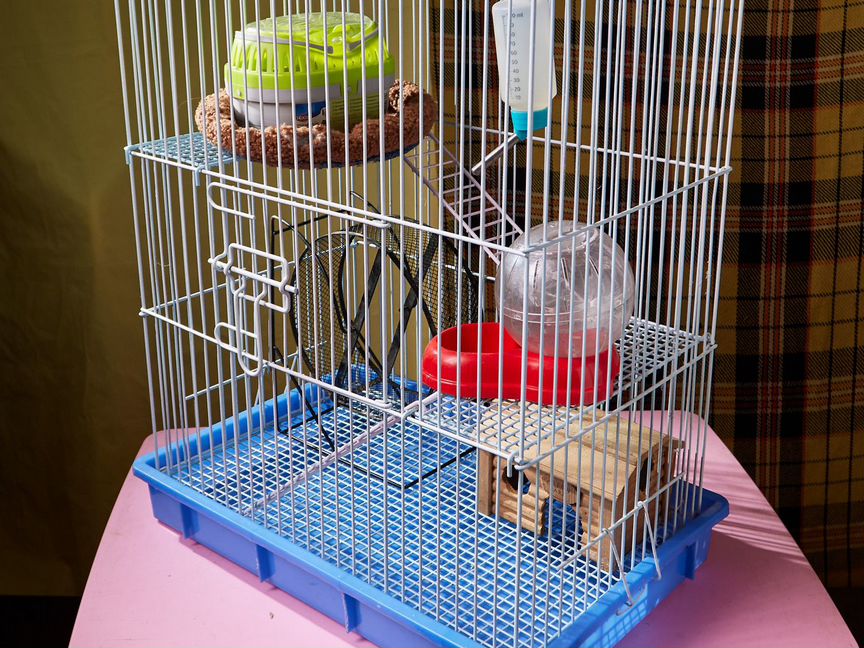 Клетка для крыс шиншиллы дегу