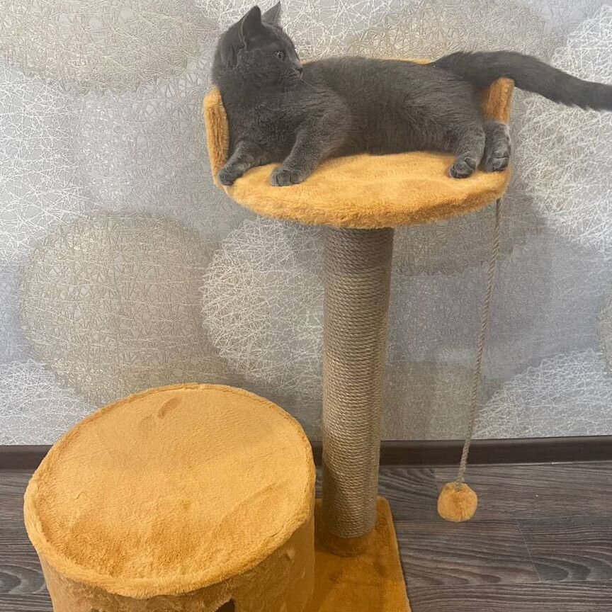 Когтеточка домик для кошки новая