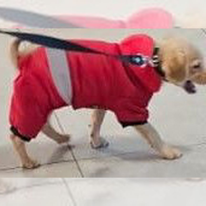 Одежда для щенка. Комбинезон теплый