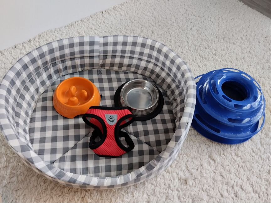 Товары для животных