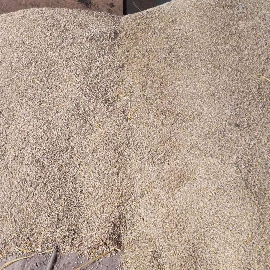 Продам зерно овёс