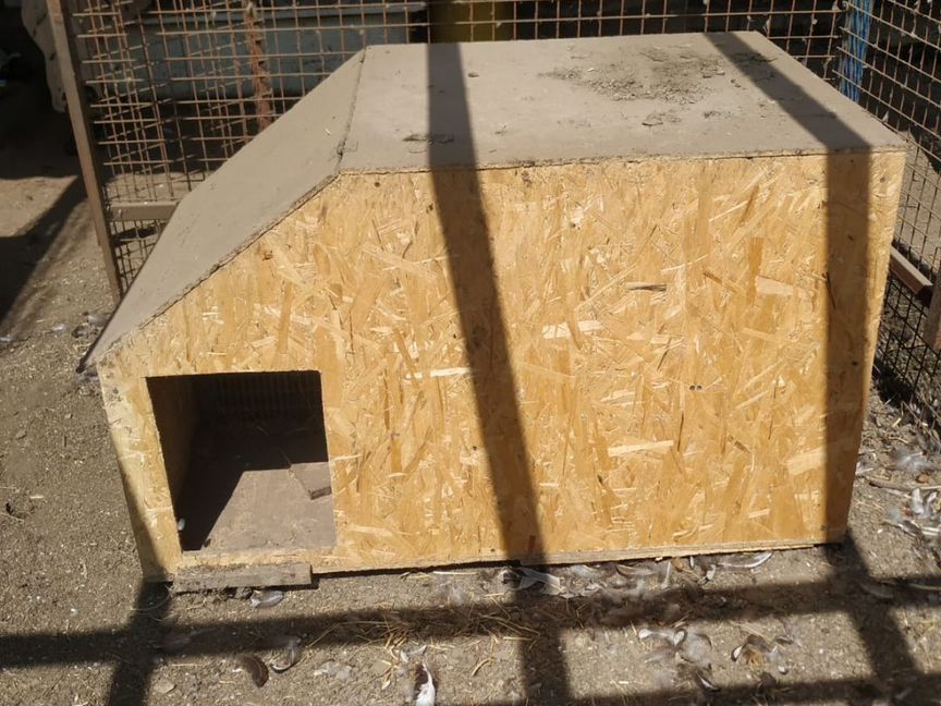 Домик для кур, будка