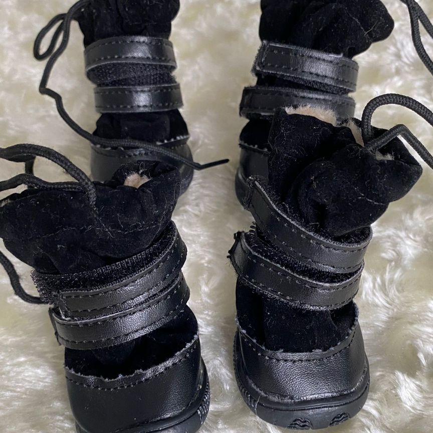 Ботиночки доя собак мелких пород