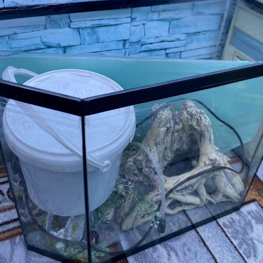 Аквариум с декором и компрессором